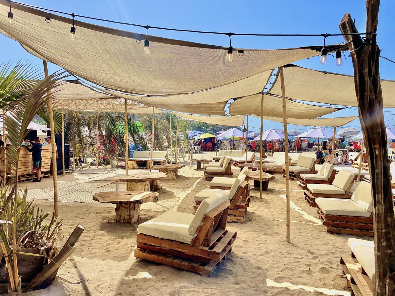 Sayulita Free WiFi Business Directory | Insider WiFi